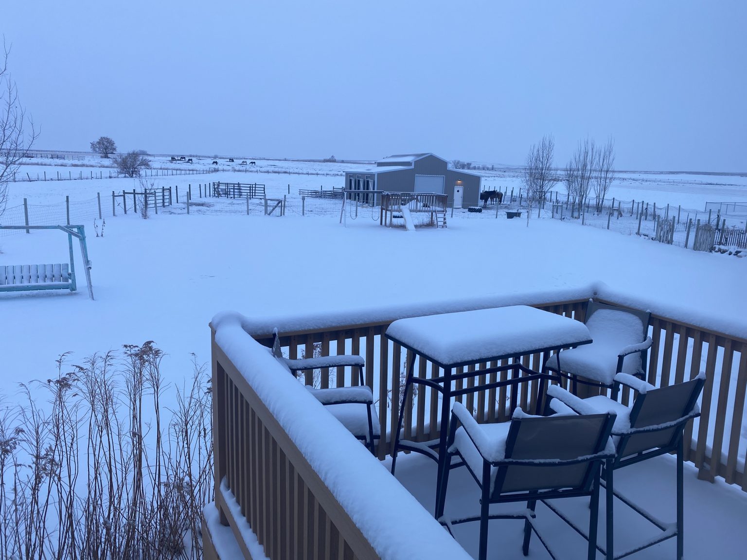 April Snow brings May .... woe? - Llllllllllll lol lllllll I’ll ...